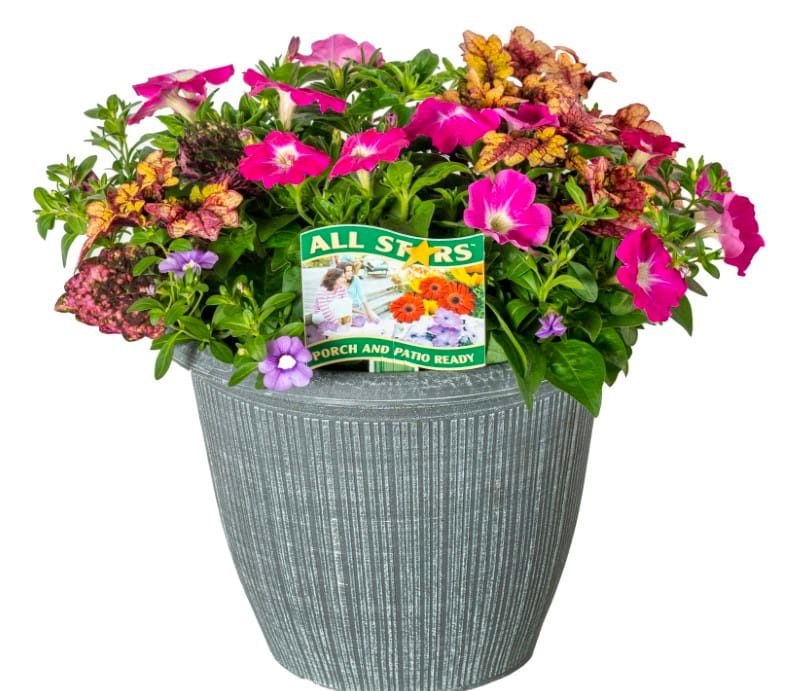 Patio Pots Spring